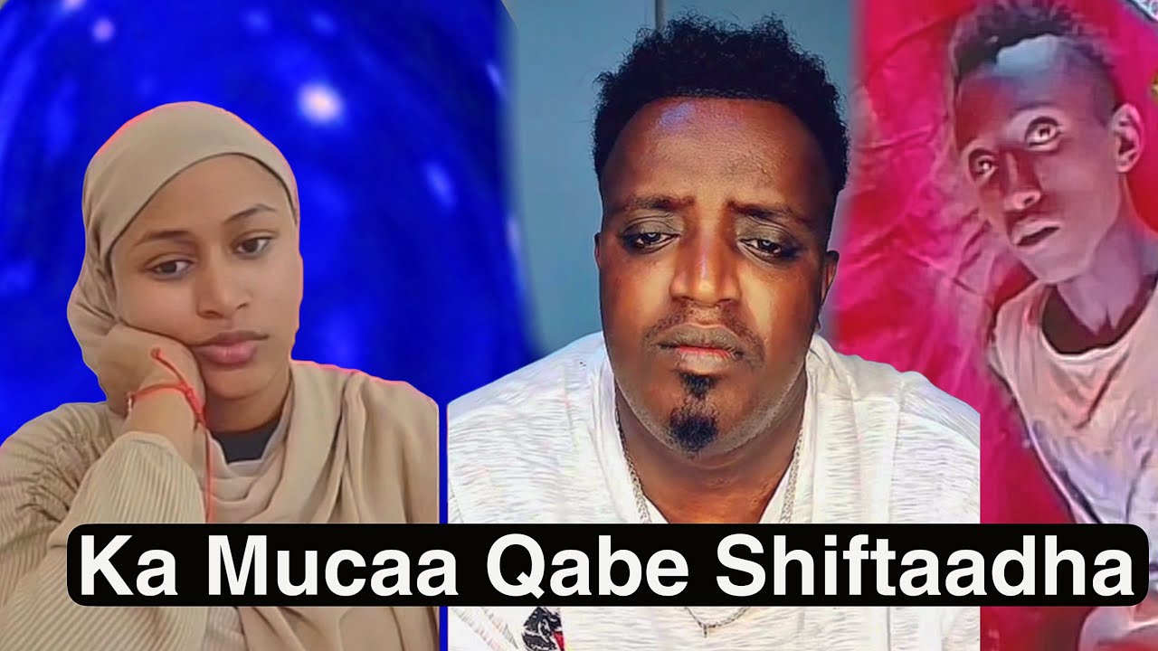 Mucaa Oromoo Re’ee fi GaalaTiffatu Qabanii Riyaala Kuma Soddoma ...