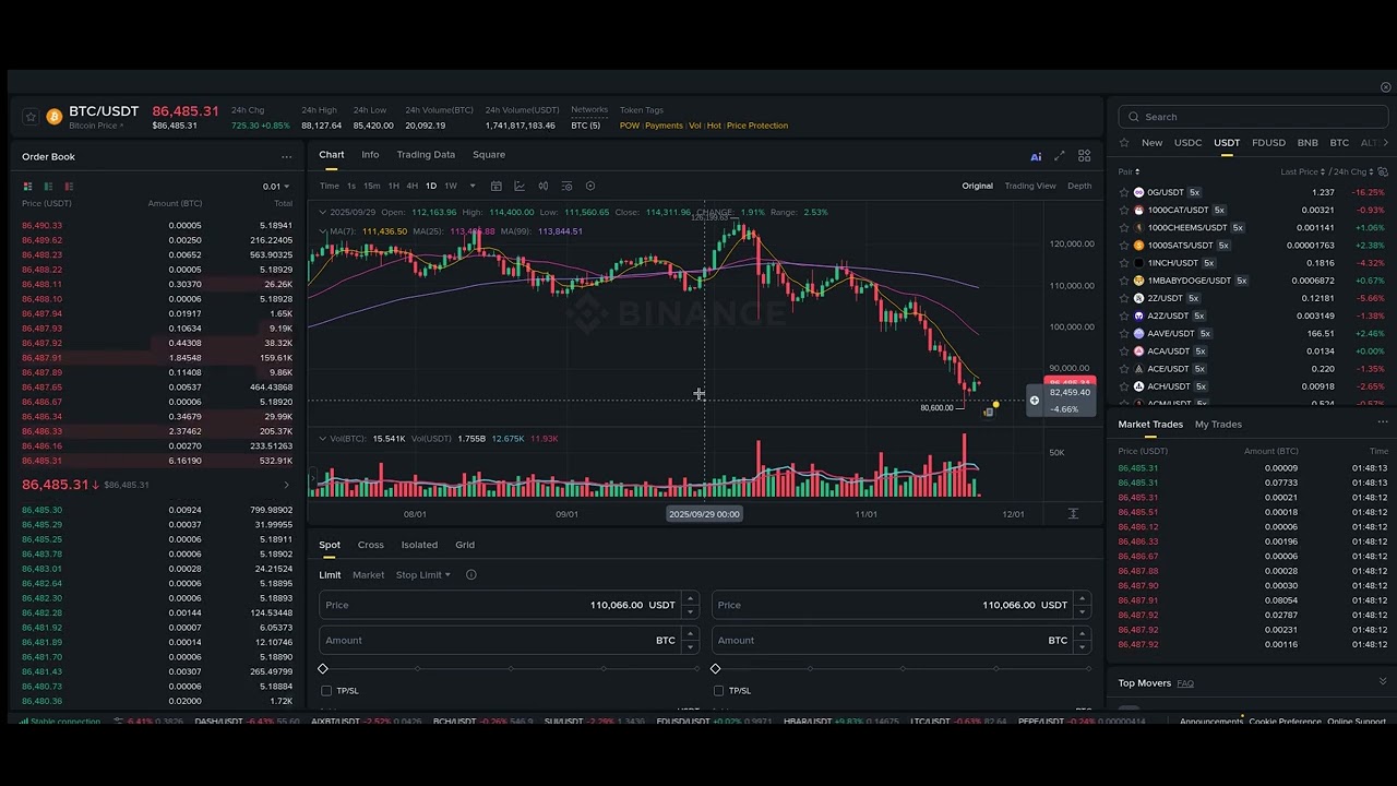 LIVE BTC/USDT CHART: Real-Time Bitcoin Price Tracker (Current Market ...