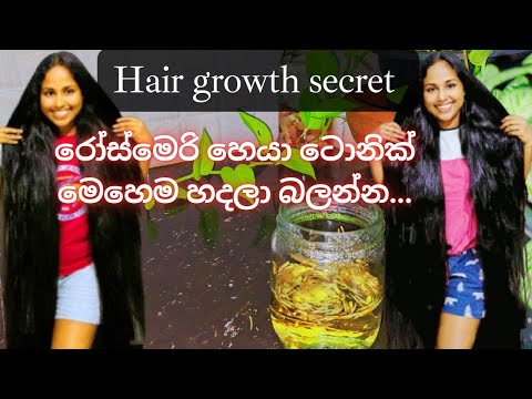 how to make hair growth tonic from rosemary කොණ්ඩේට කරන හොදම සත්කාරය🪴 #hairgrowth #haircare #hair