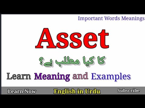 Asset Meaning - YouTube