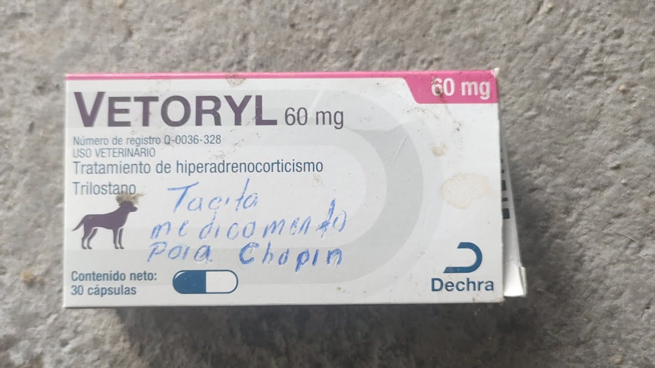 el médico Giovanni ya me trajo el medicamento para tacita para seguir ...