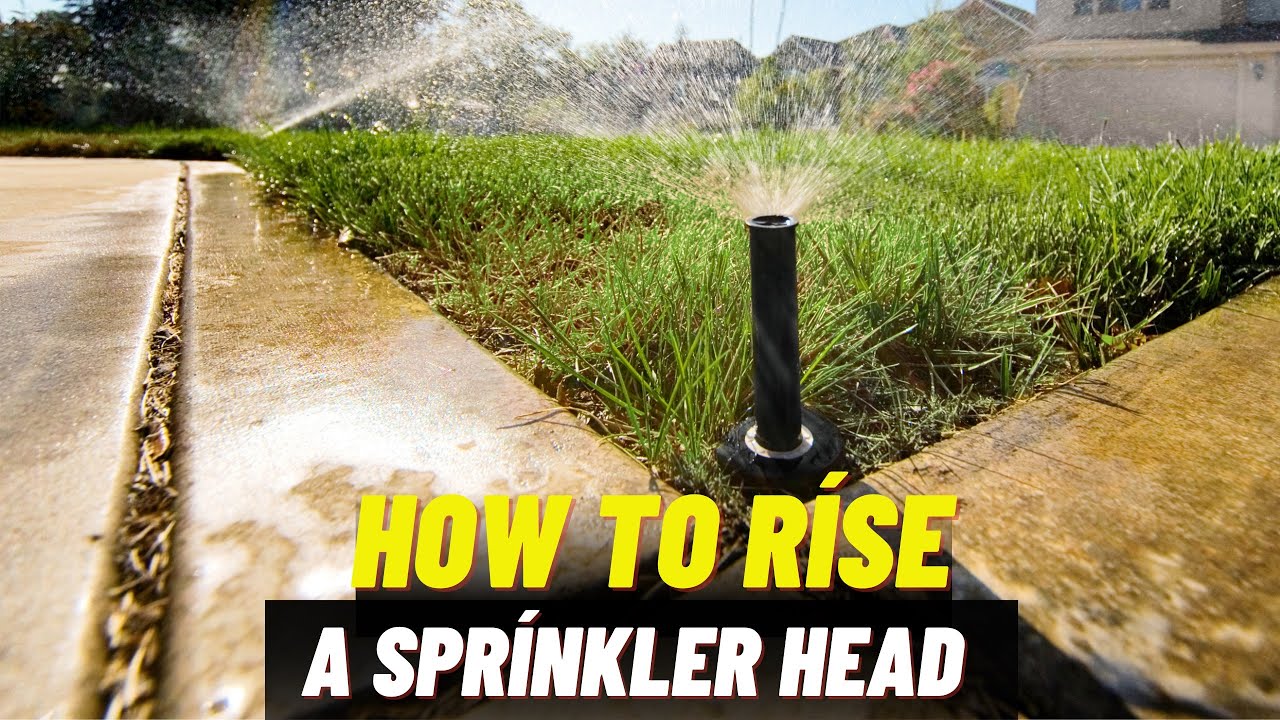 How to Rise a Sprinkler head or a pop up sprinkler - YouTube