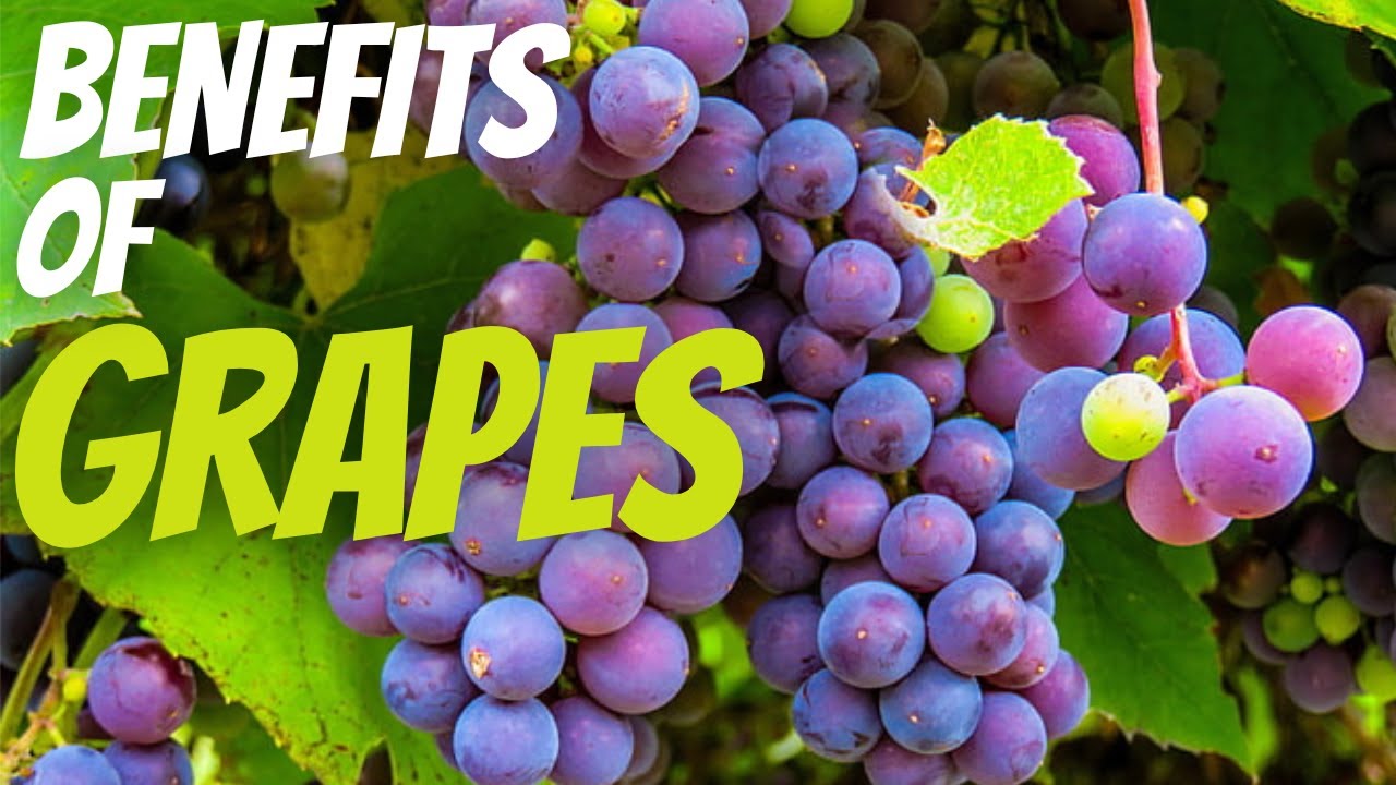 The Colorful JAPANESE GRAPES - YouTube