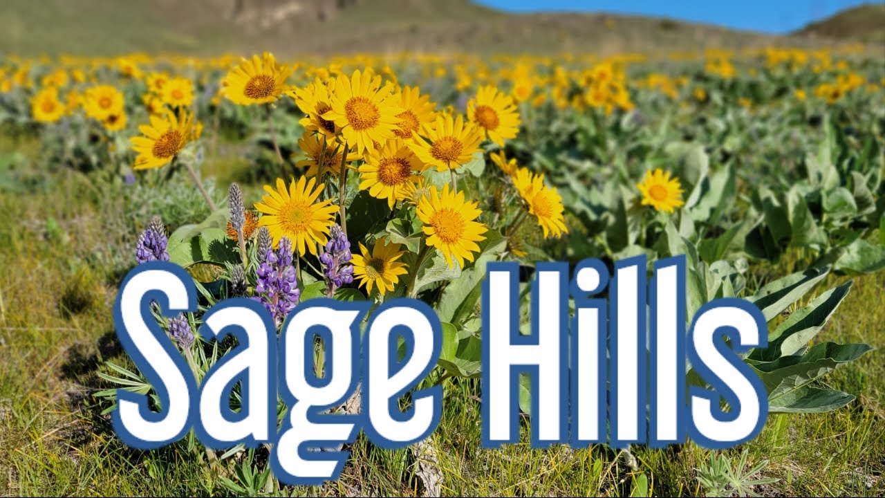 2023 #5 Sage Hills - YouTube