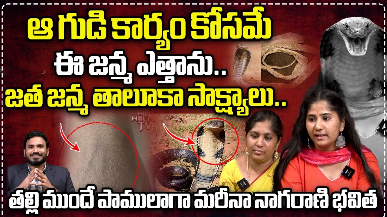 Nagarani Bhavitha Revealed Unknown Facts About Her Past Born | Nagarani ...