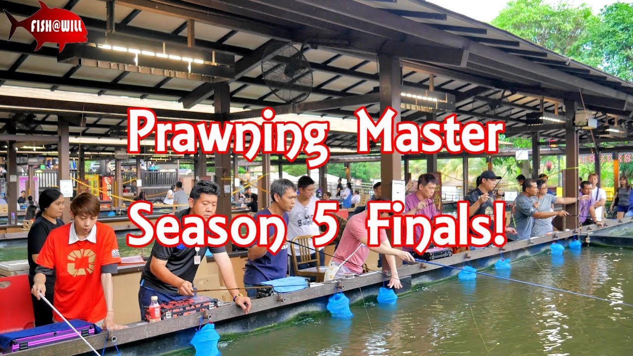Singapore Prawning - Prawning Master Season 5 Finals! シンガポールでえび釣りに挑戦 ...