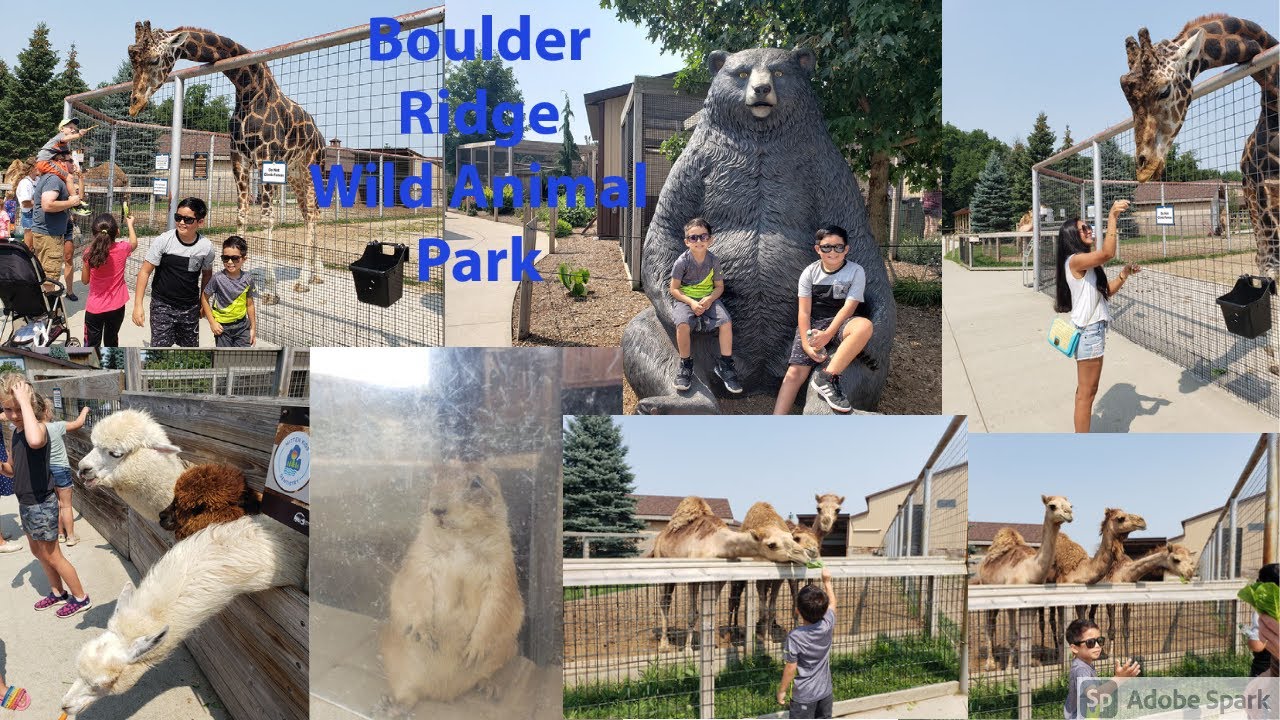 BOULDER RIDGE WILD ANIMAL PARK 2021 - YouTube