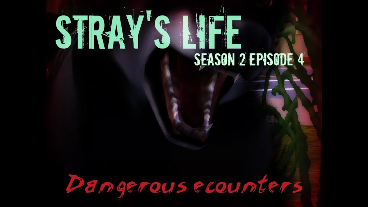 Strays Life ~ Episode 4 Season 2 - YouTube