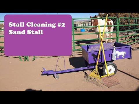 Stall Cleaning # 2 Sand stall - YouTube