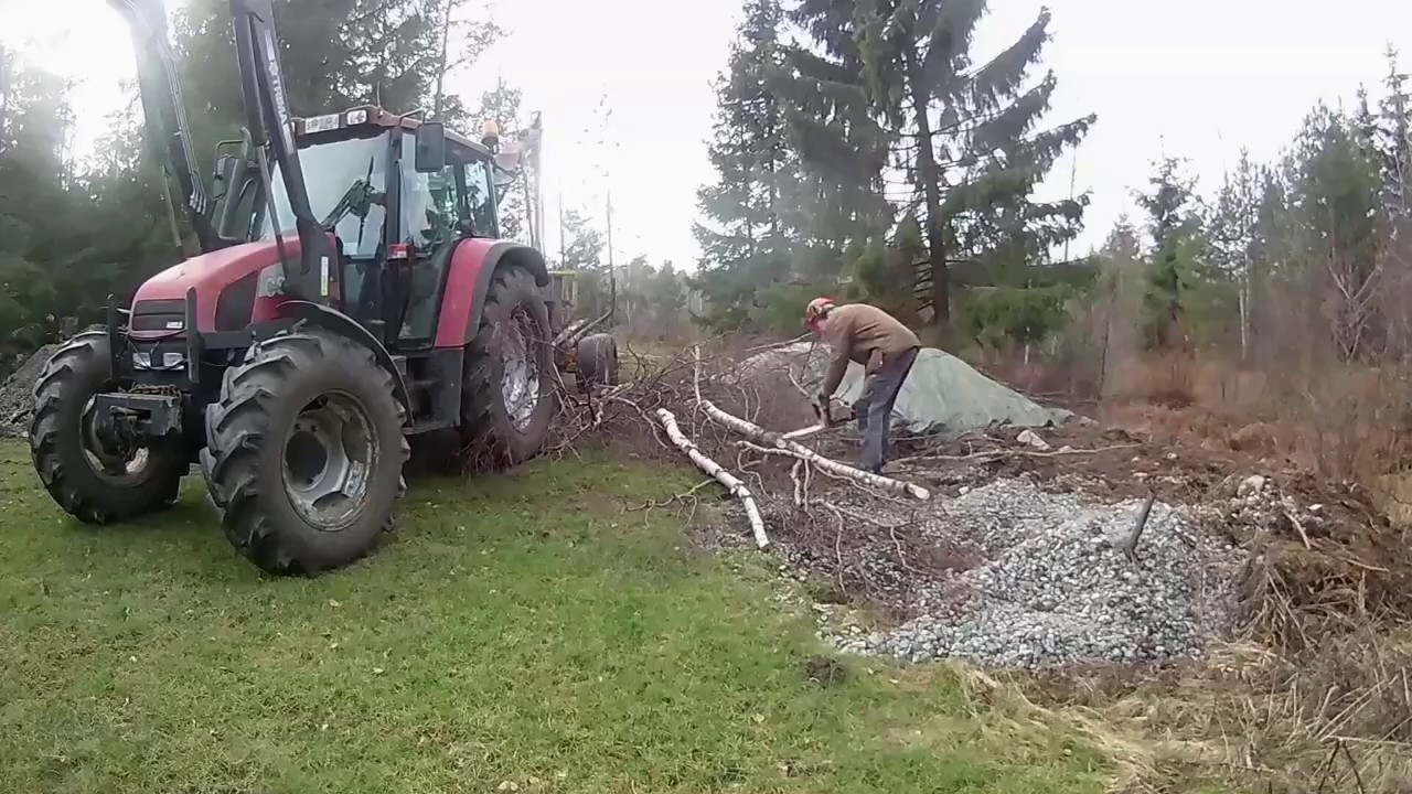 Cutting trees for better view 2020q1 - YouTube