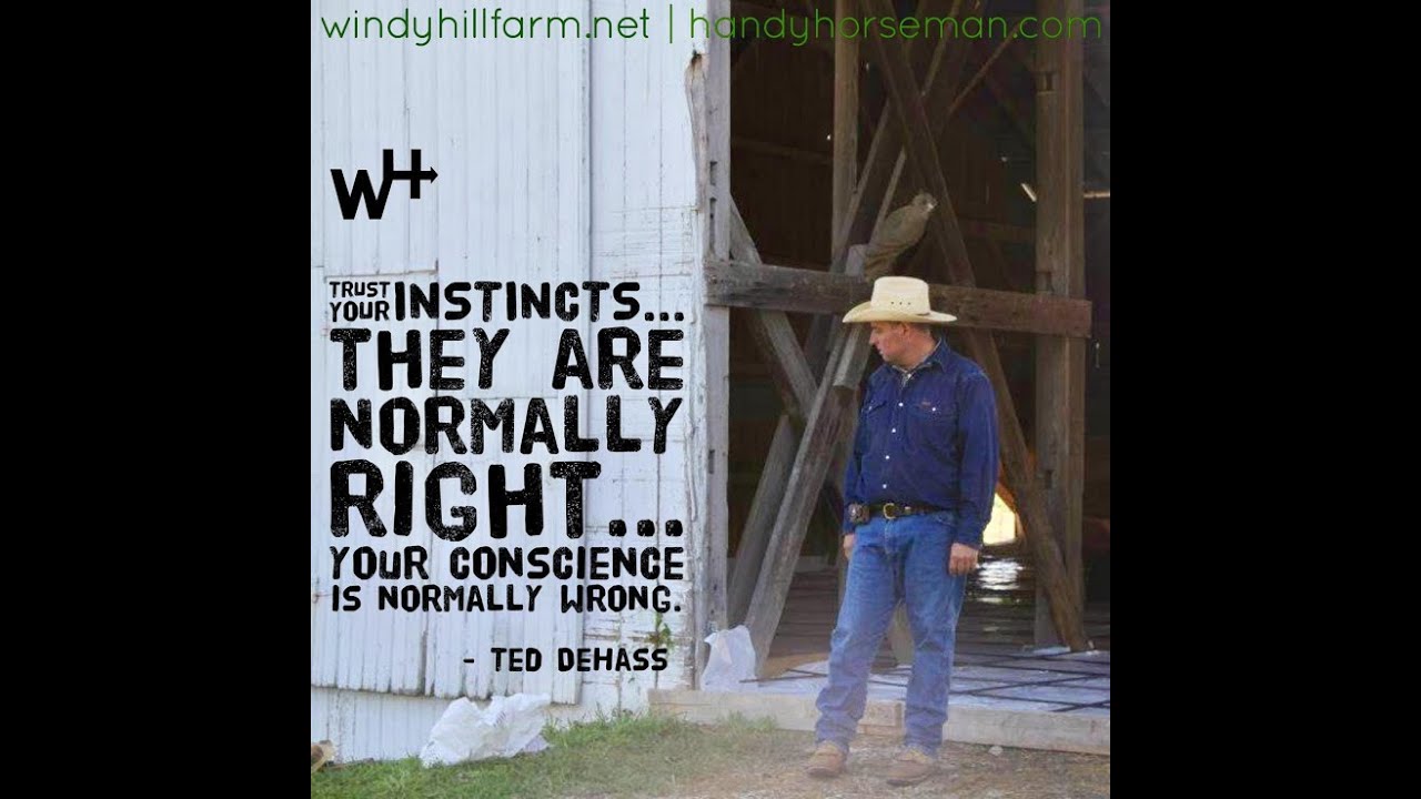 Advanced Horsemanship Garrocha Pole - Part 2 - YouTube