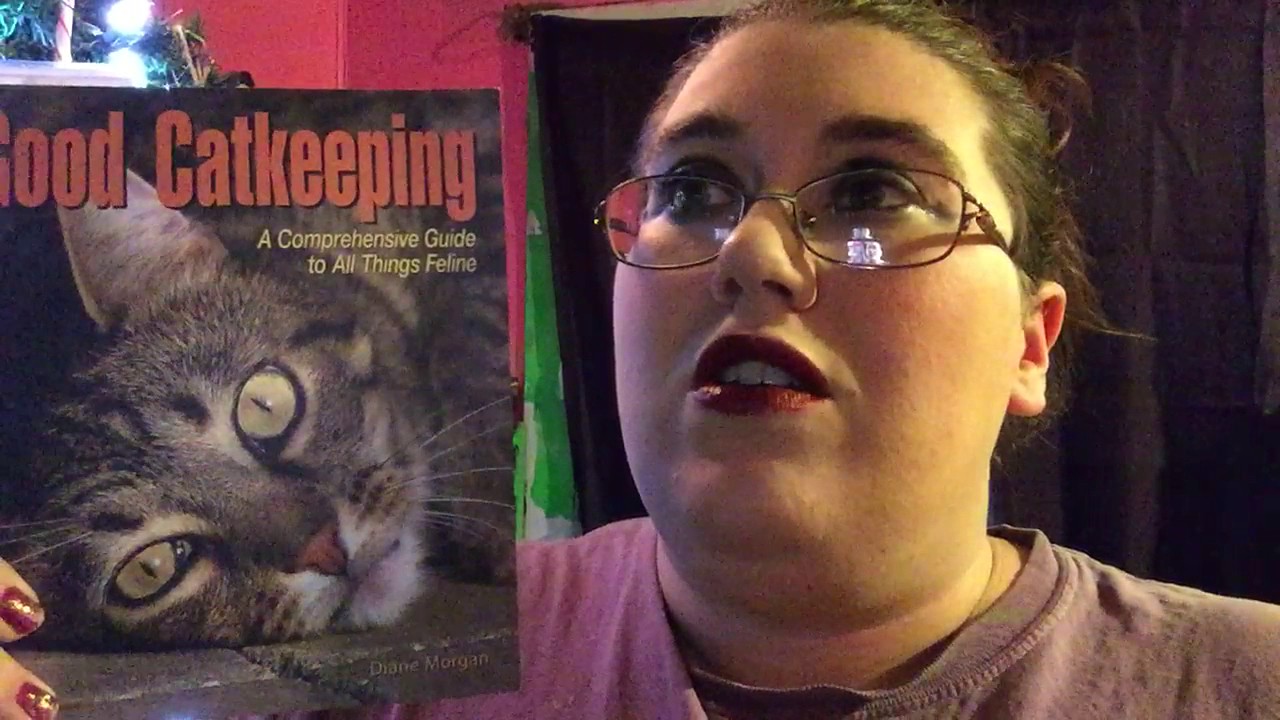 Good Catkeeping - YouTube