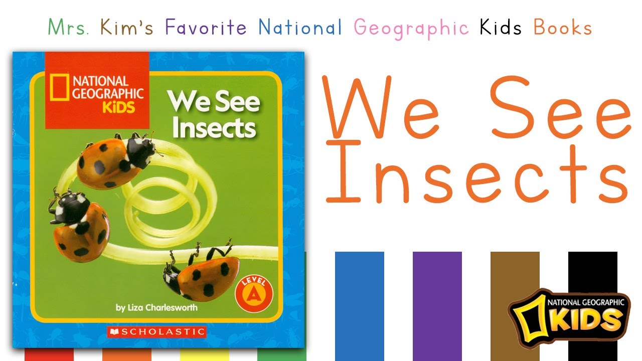 Mrs. Kim Reads We See Insects (National Geographic Kids) - YouTube