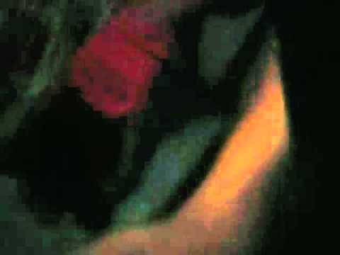 My lil sis caught wall twerking