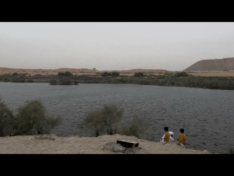 ZAKHER LAKE AL AIN #lake #zakherlake #2025#alain #travel # ...