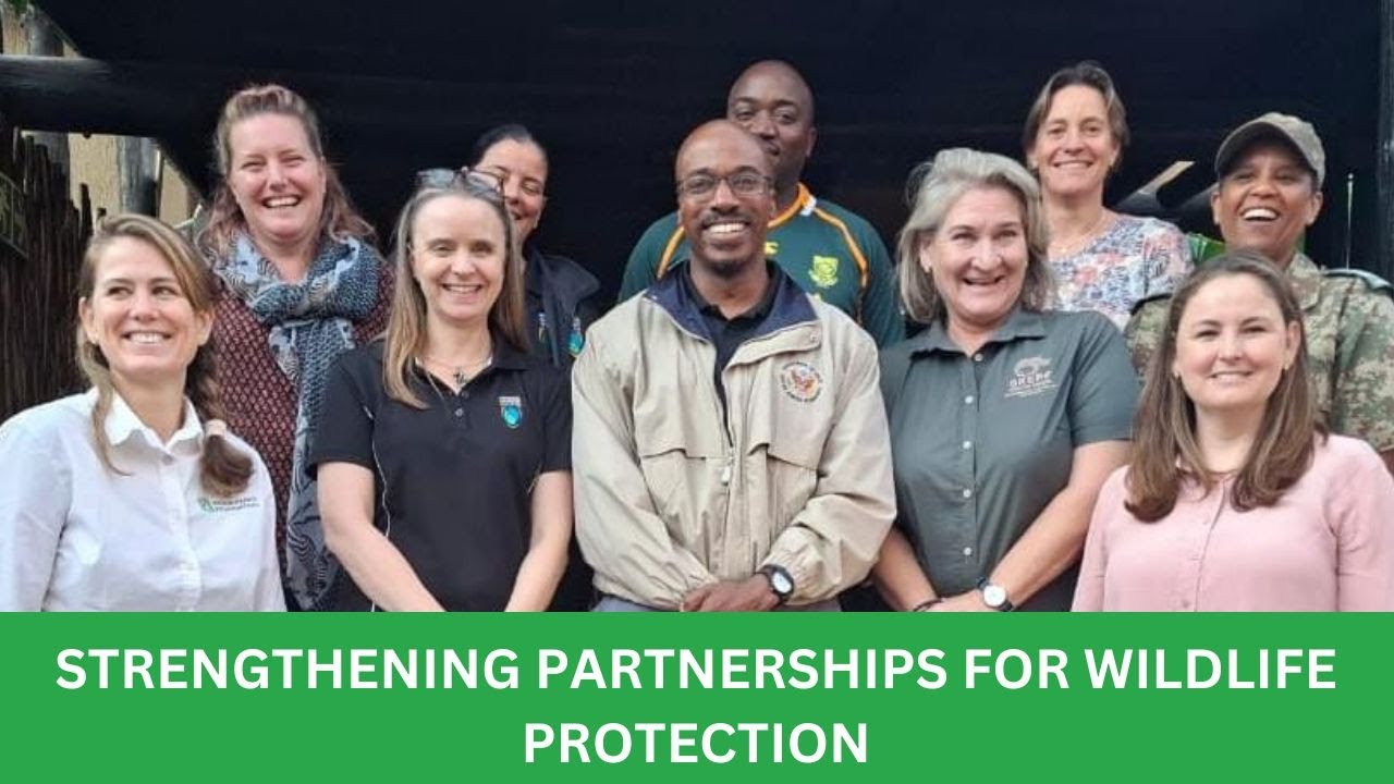 Strengthening Partnerships for Wildlife Protection - YouTube