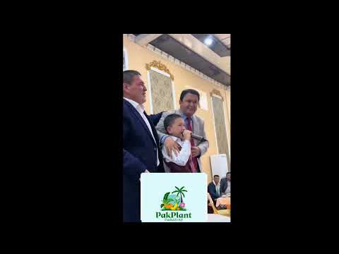 Turkish Child Singing #turkish#boye# Beutiefull #voice #brokenheart #momlife #mom #isdeath