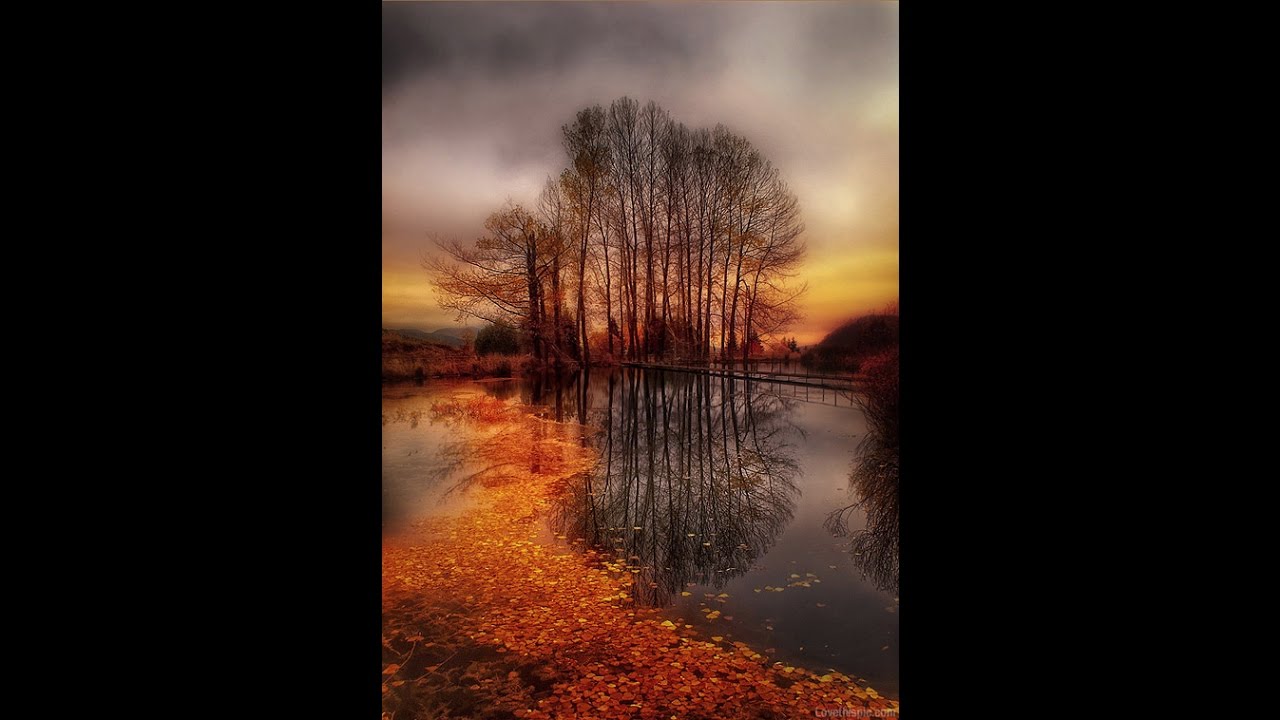 I Love the Fall (Original) - YouTube