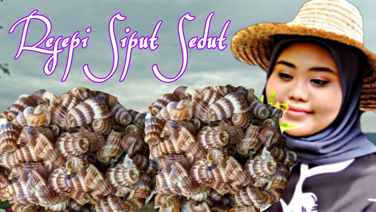 Sedapnya! Masak Siput Sedut Macam ni| #siputsedut #resepisiput #keong ...