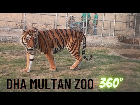 360° Zoo | Multan DHA 360 Degree Zoo - YouTube