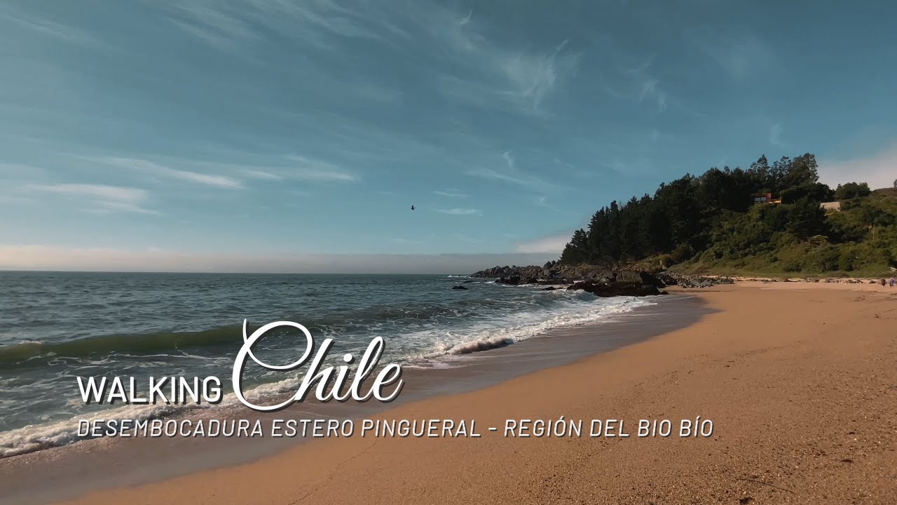 Pingueral. Región del Biobío. Chile. Camino por este mágico rincón en ...