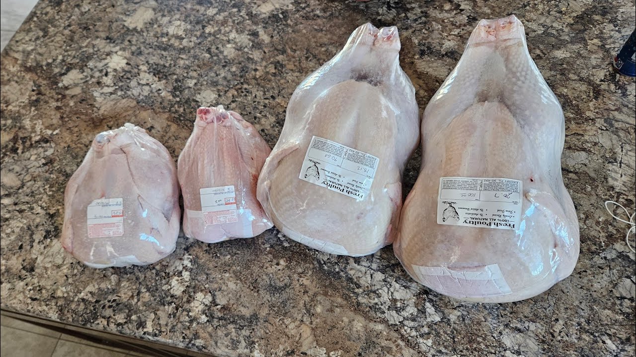 Meat chickens and turkey. Everything you need to know about processing ...