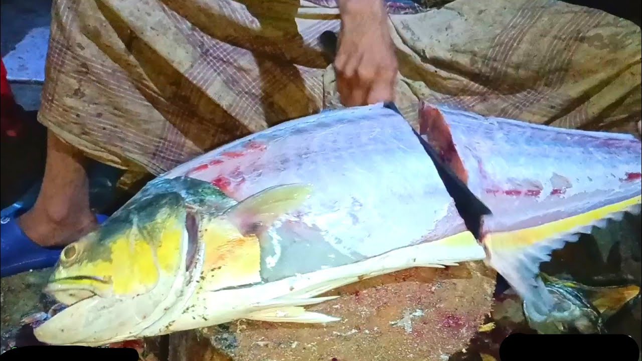 10KG Queen Fish Skin Remove & Cutting Skills By Expert Fish Cutter ...
