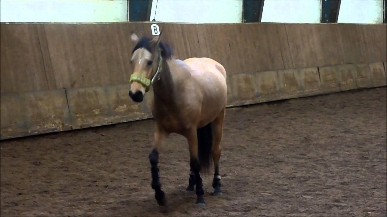 Anemone Wales tries free jumping - YouTube