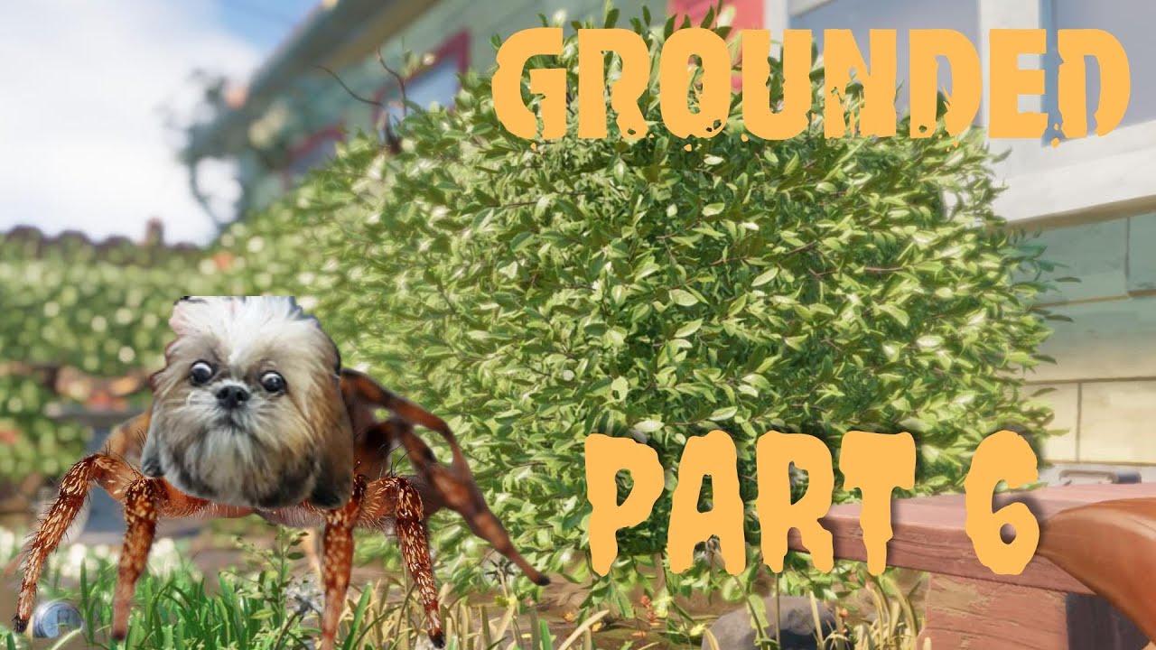 Hedge Lab exploration - Grounded part 6 - YouTube