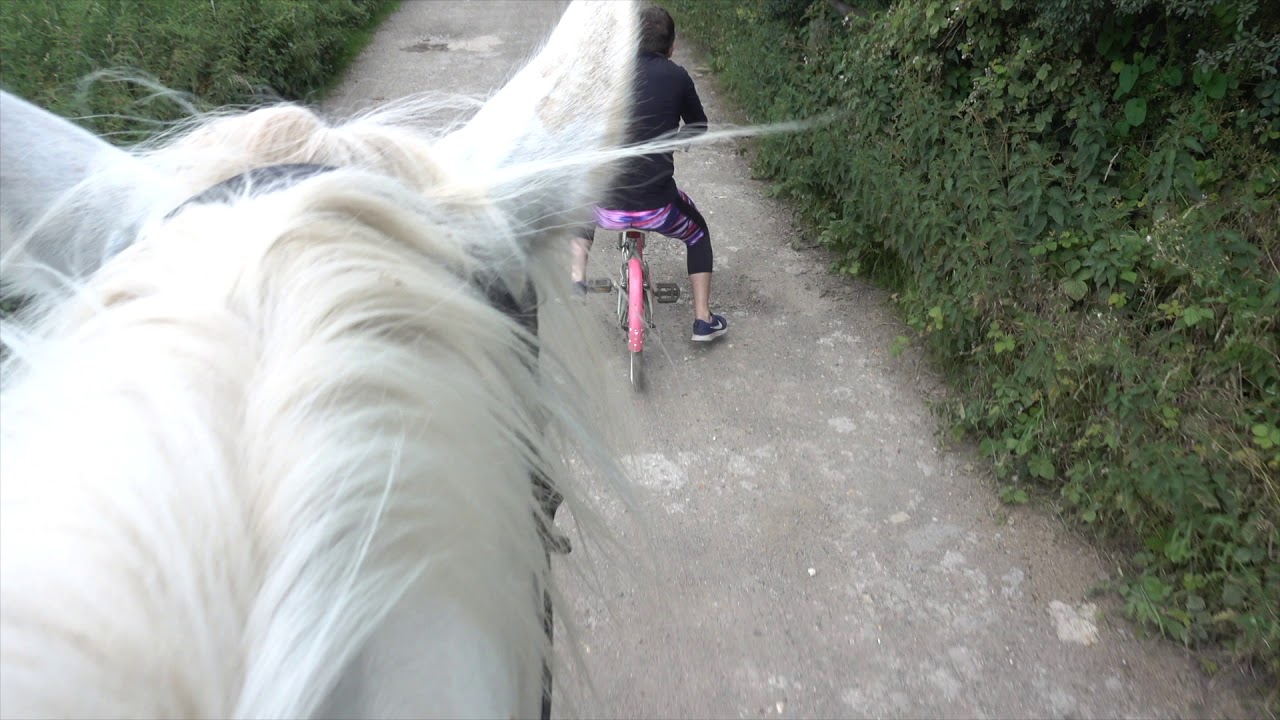 Wocket Woy, Tour de Fwance! - YouTube