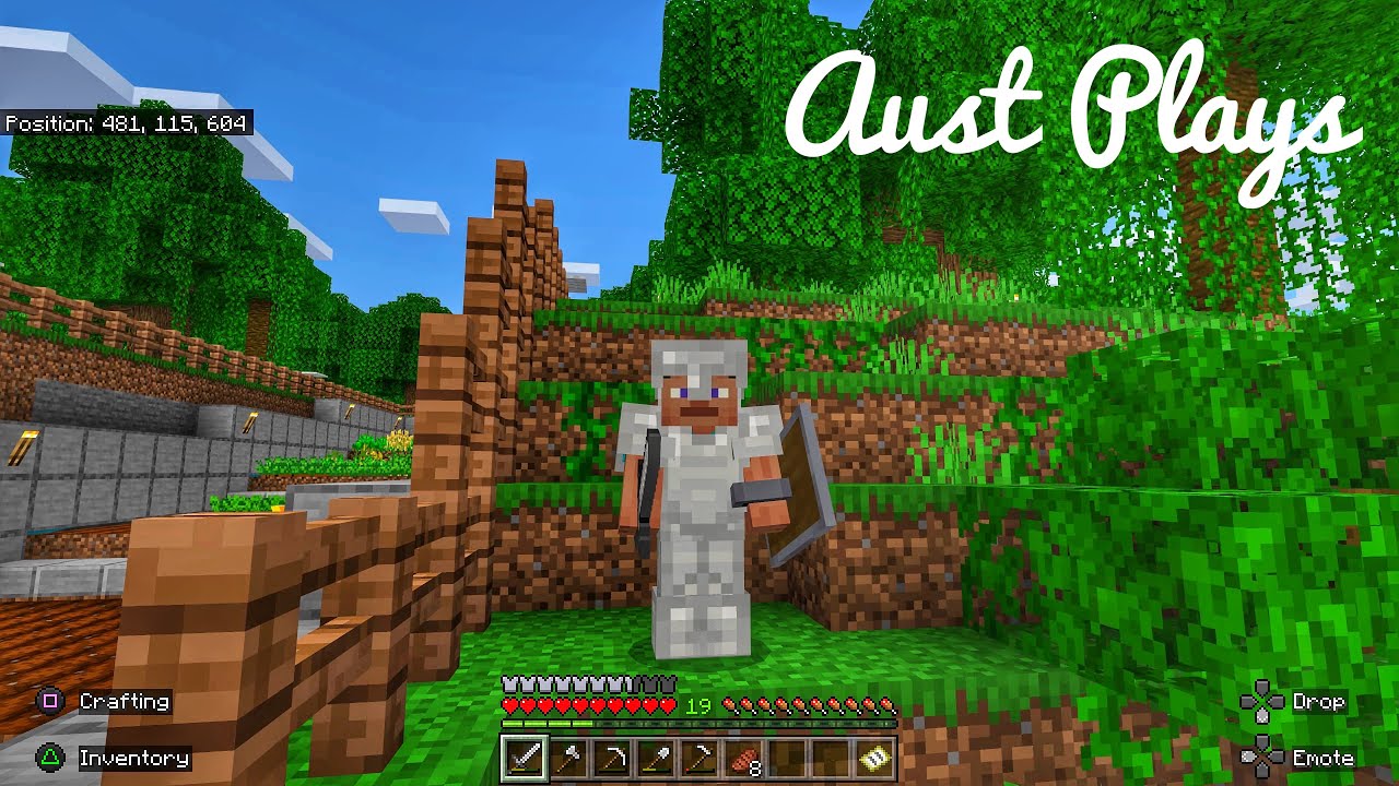 AUST PLAYS MINECRAFT - YouTube