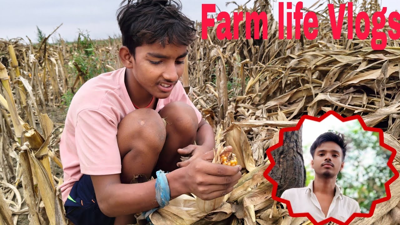 FARM LIFE VLOGS VIDEO - YouTube