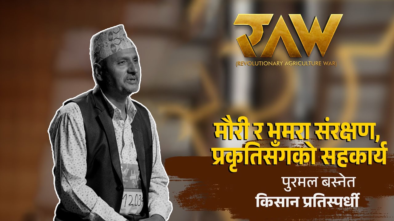 मौरी र भमरा संरक्षणमा किसानको पहल | Contestant Purmal Basnet | RAW ...