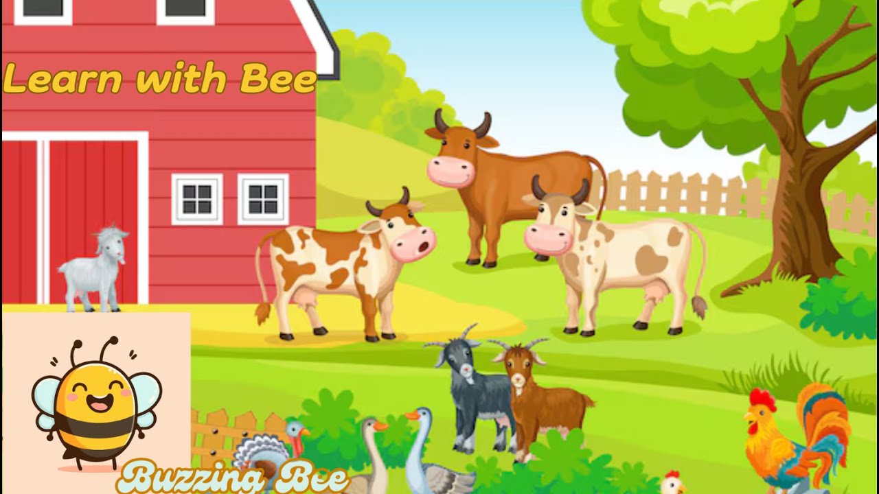 "The Amazing Animal Farm : A Fun Learning Journey! Learning Bee - YouTube