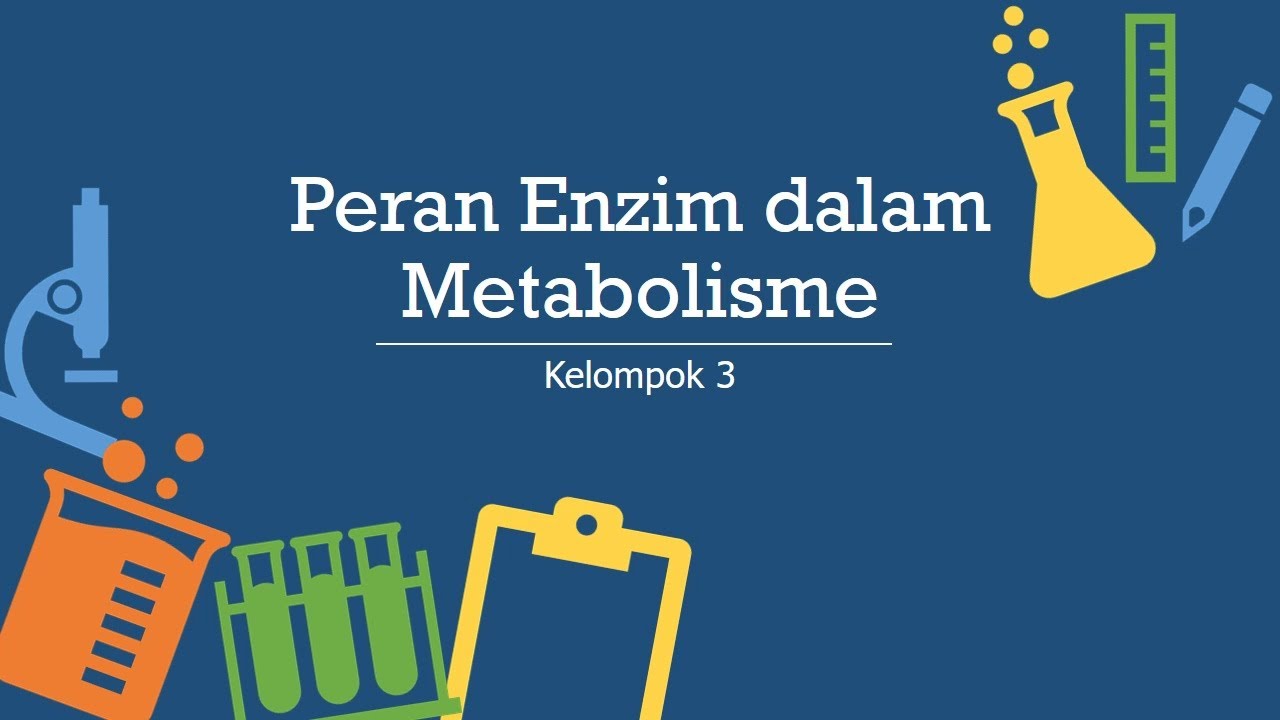 Peran Enzim Pada Metabolisme - YouTube