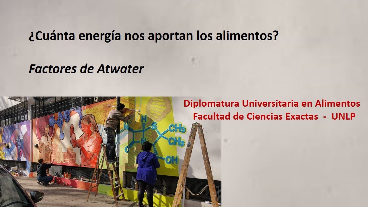 Cómo calcular la energía que aportan los alimentos - Factores de ...