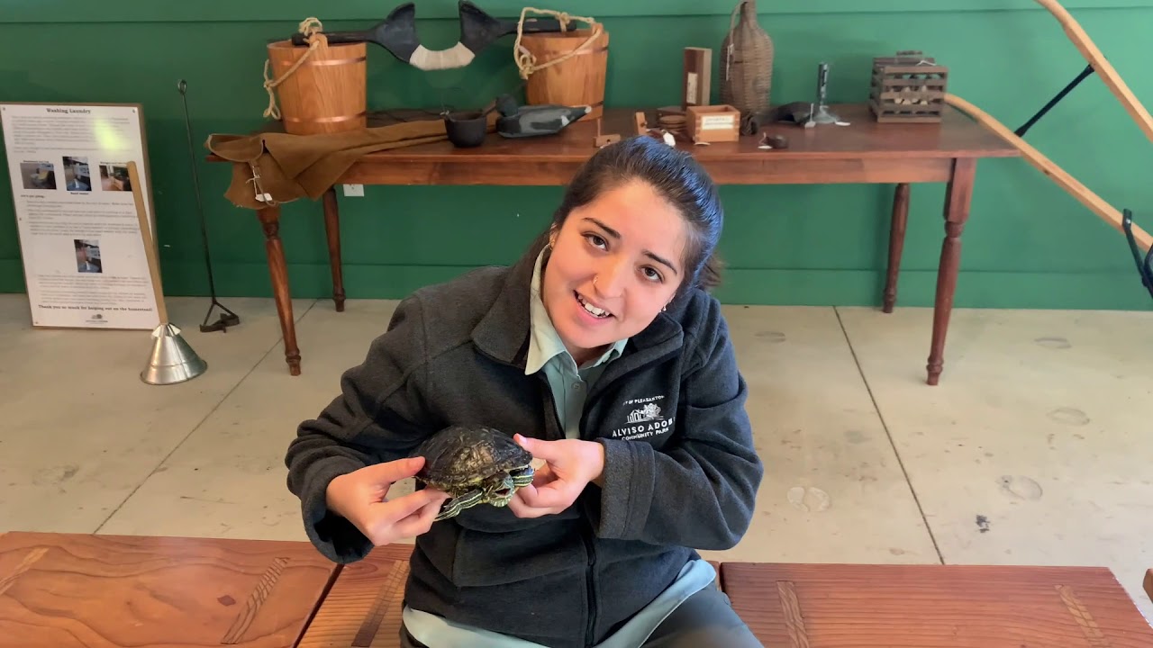 Meet the Animals: Featuring Frankie the Turtle - YouTube
