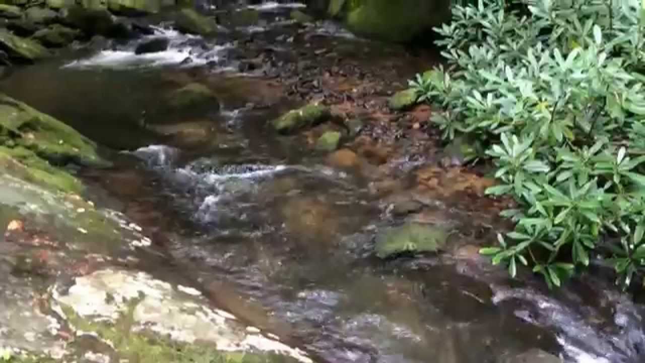Rapids along Hemlock Falls trail in Moccasin Creek State Park - YouTube