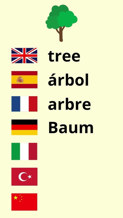 Learn 7 languages | Polygot | How to say TREE in 7 different languages ...