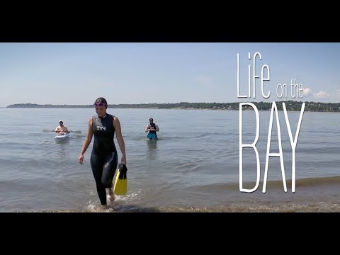 Life on the Bay - Daniela Abbott - YouTube