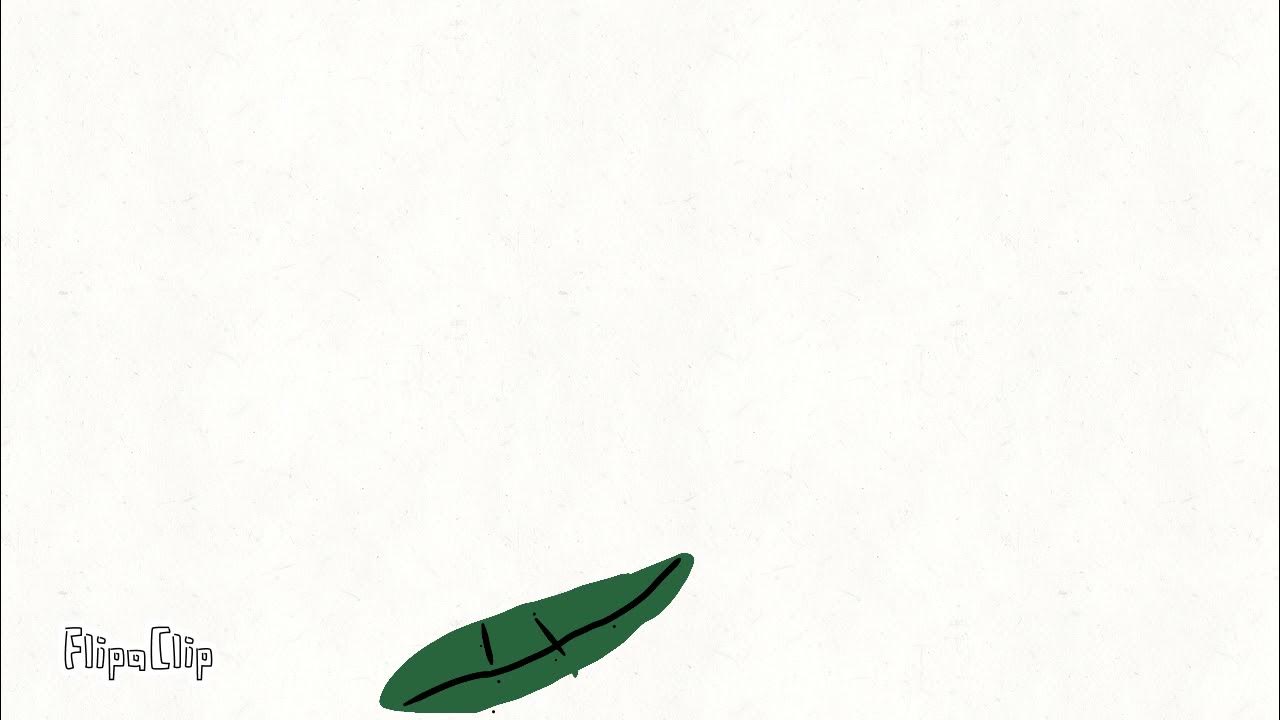 leaf in wind effect animation - YouTube