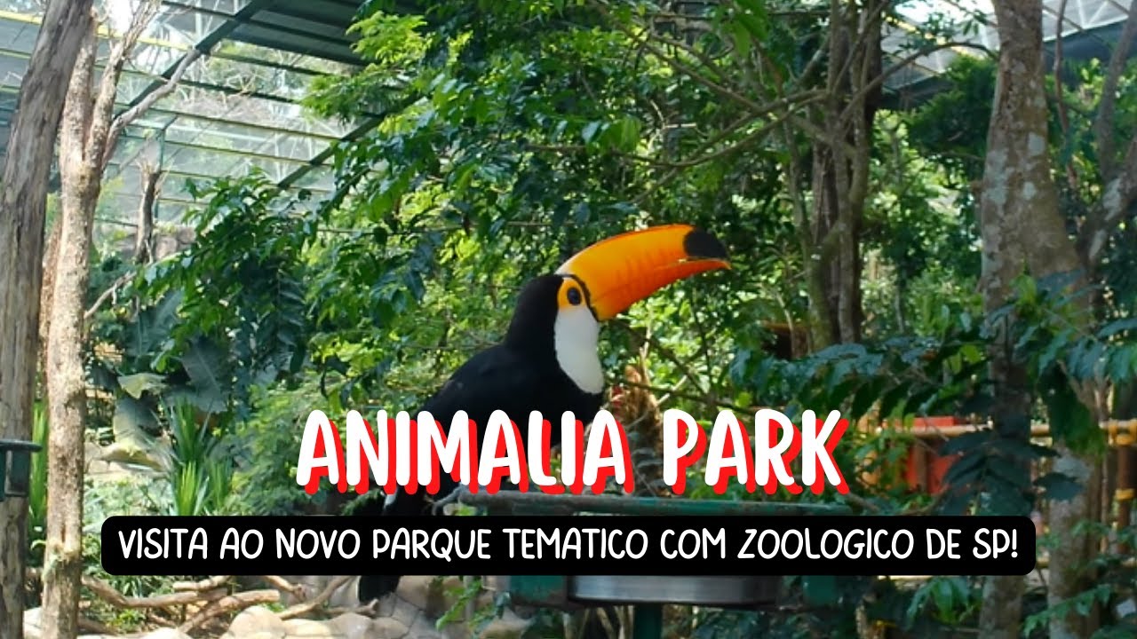 Animalia Park - o parque temático + zoológico de São Paulo! - YouTube
