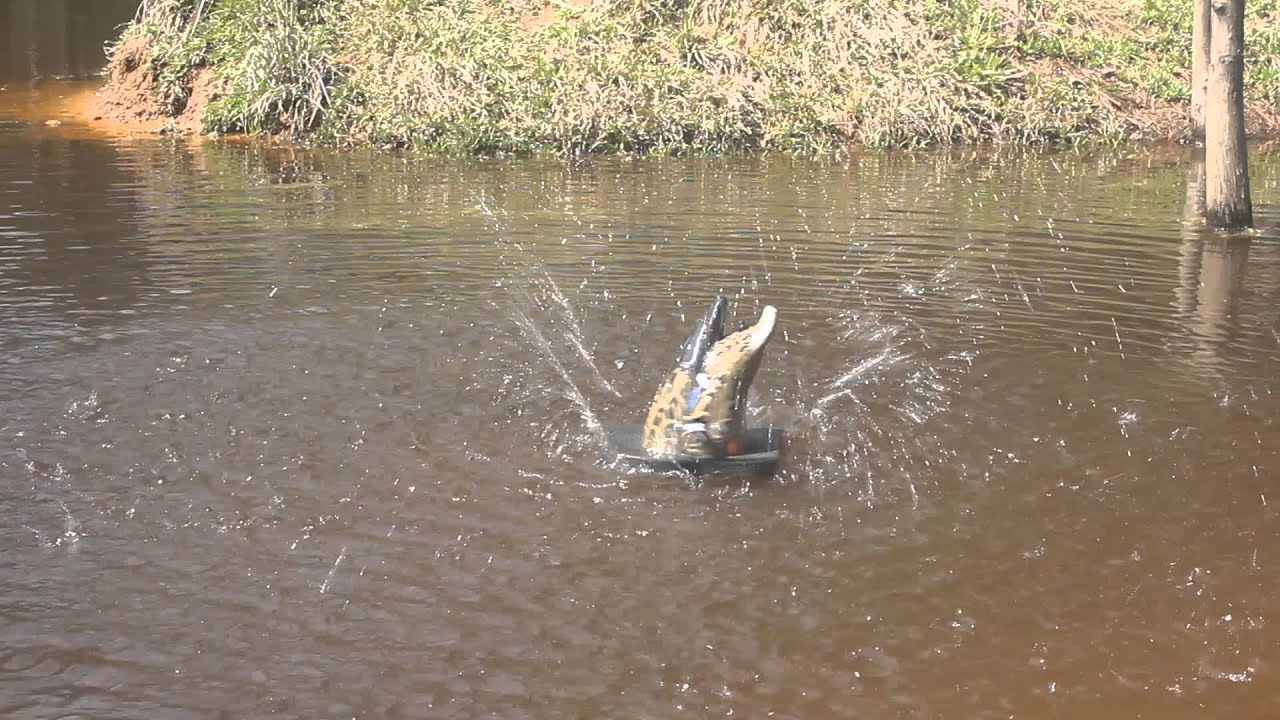 Wonderduck Cyclone Hen - YouTube