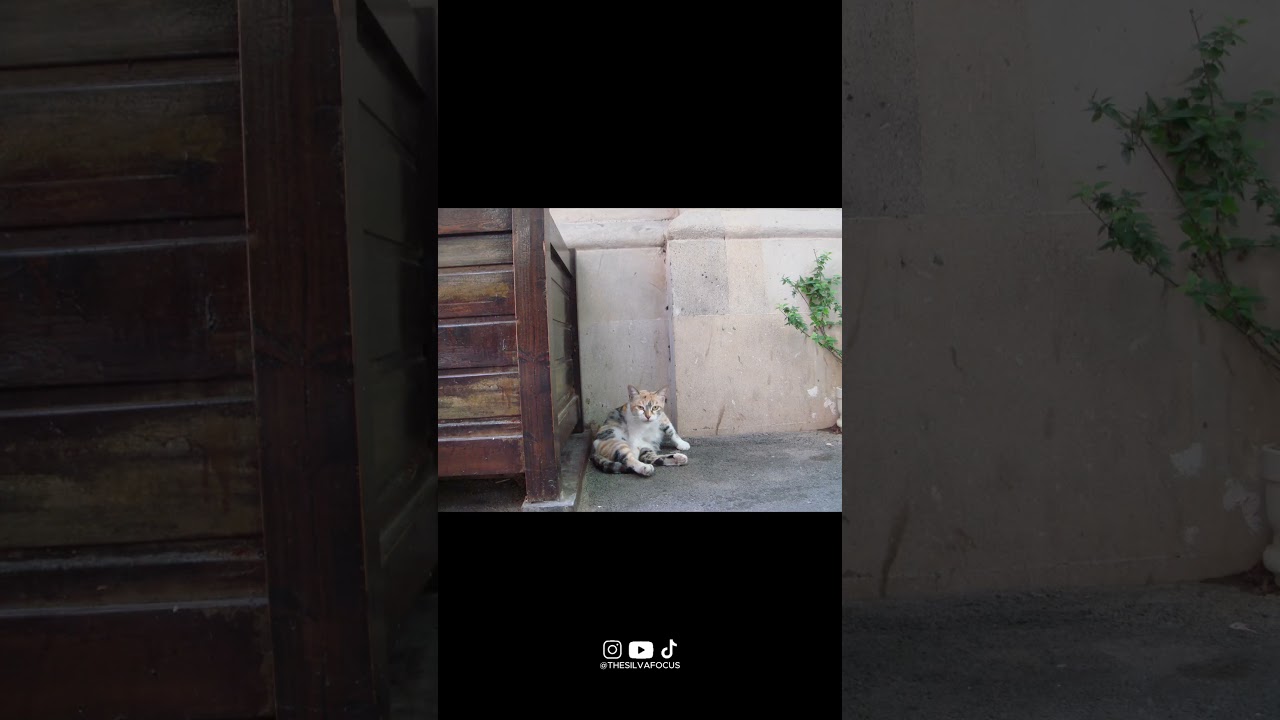 Baku City Compilation with Cybershot DSC-T30