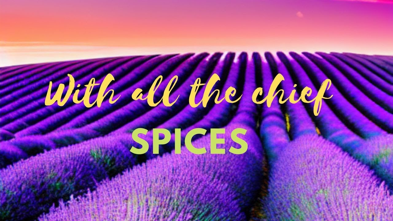 With all the shief spices: Biblical Hebrew Beyond Time & Space - YouTube