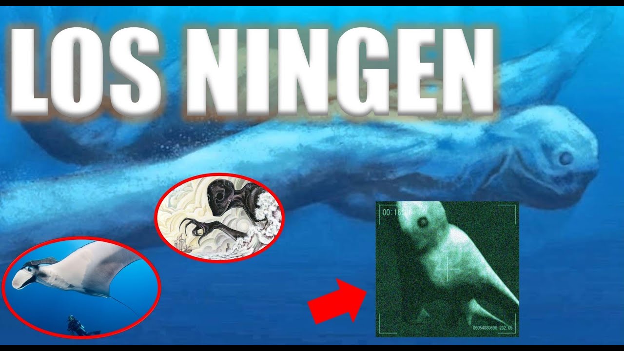 Seres Humanoides de Gran Tamaño son Avistados en la Antártida | Los ...