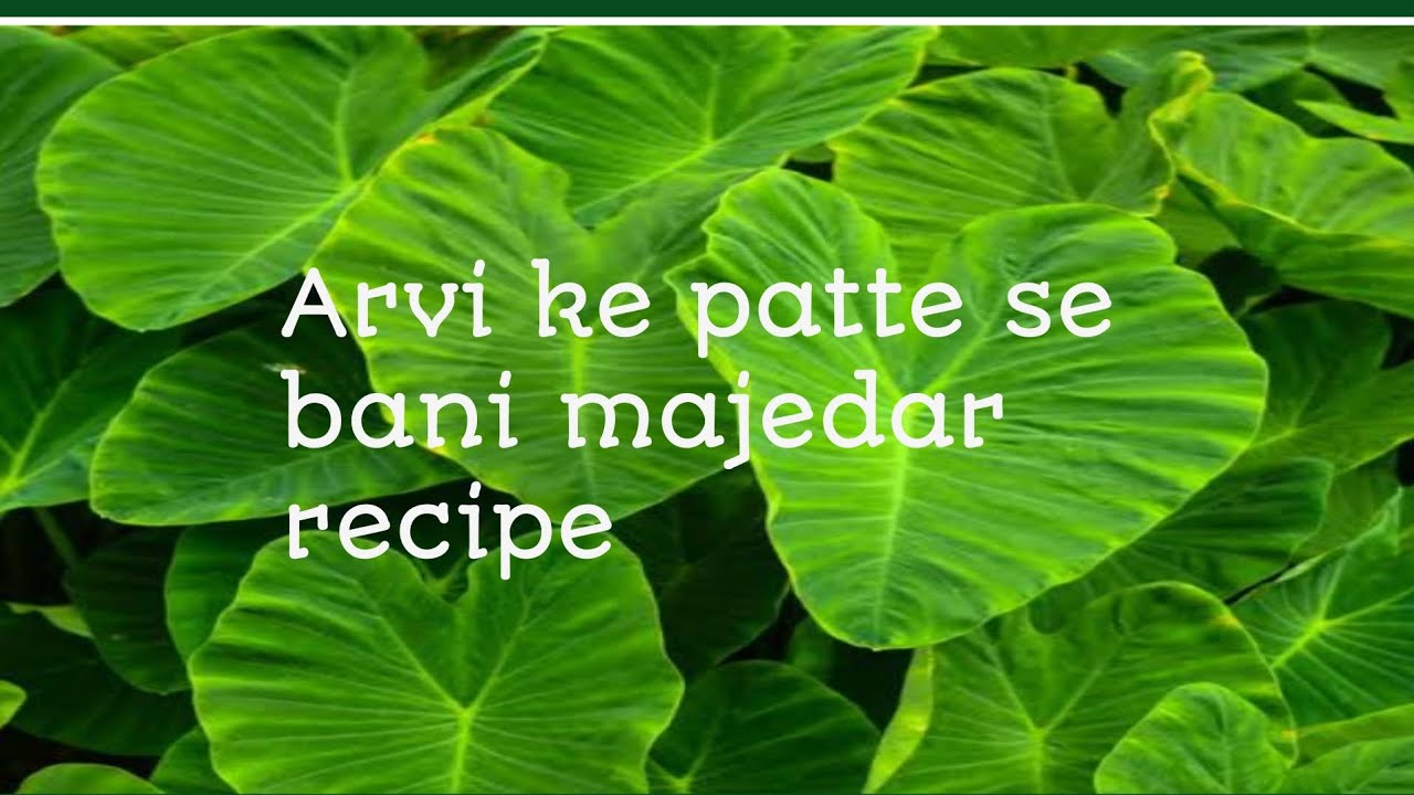 Arvi ke patte dal se bani aise recipe jise baar baar khana chahoge ...