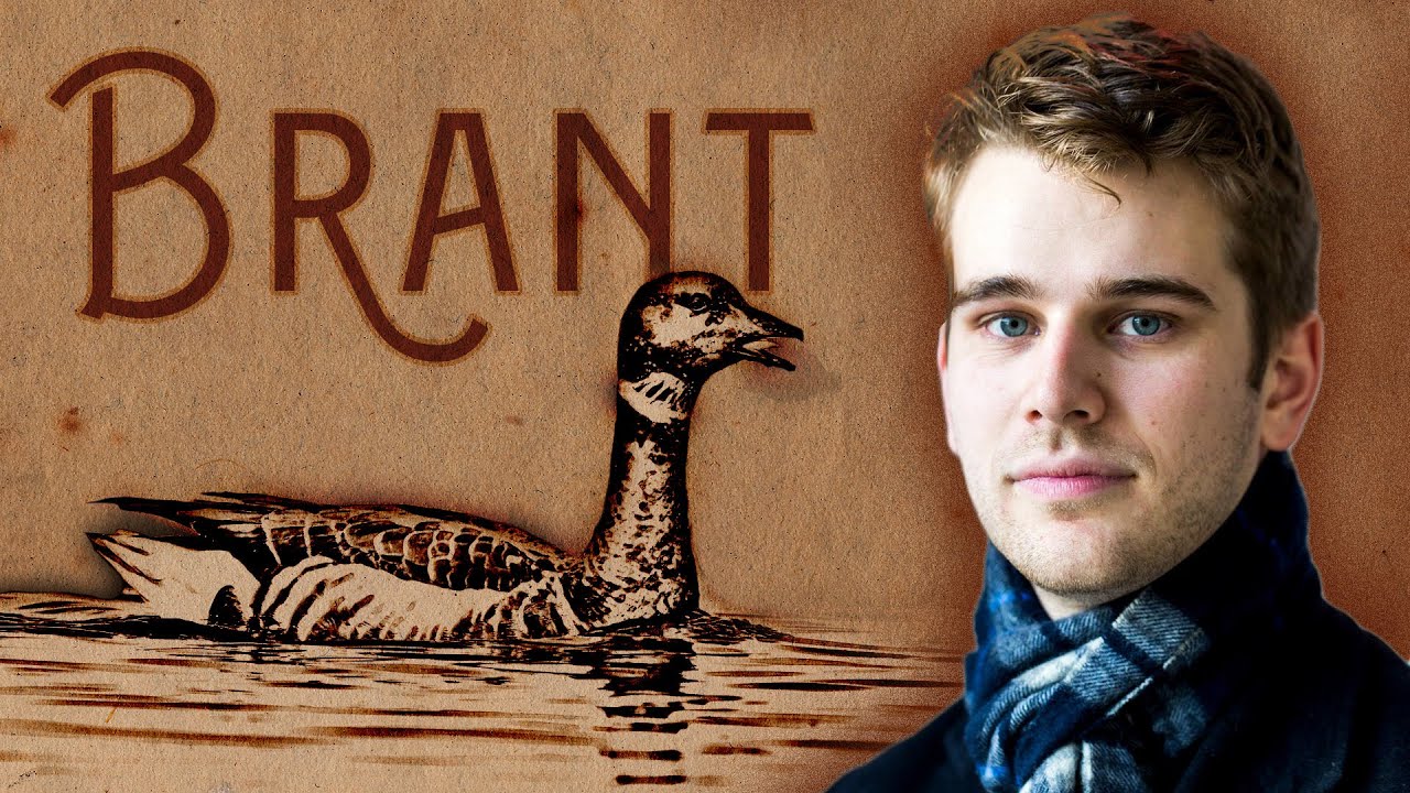 Ornithology Weekly | Episode 2 - "Brant" - YouTube