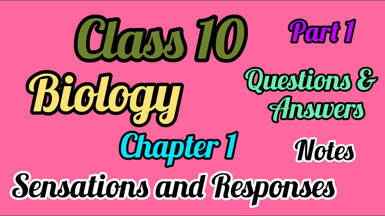 Scert Class 10/Biology Chapter 1/Sensations and Responses Part 2 ...