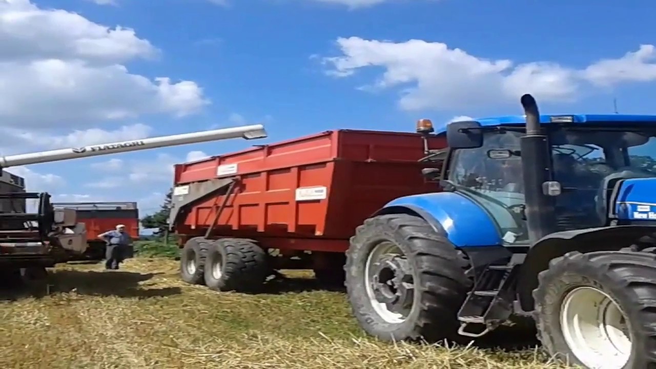 Moisson 2016 / Laverda 3890 - YouTube